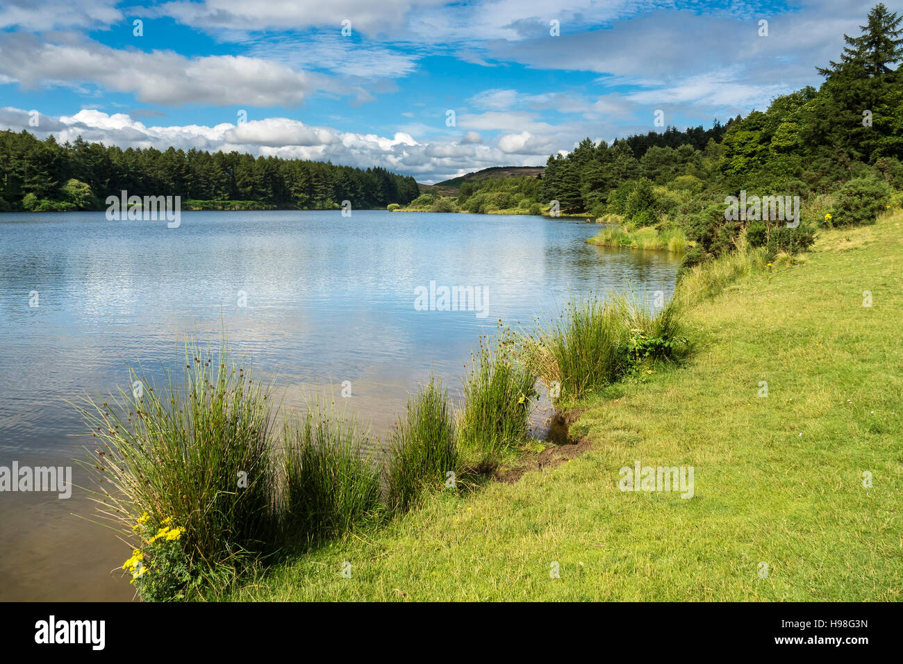 Cod beck reservoir, north york moors hi-res stock photography and ...