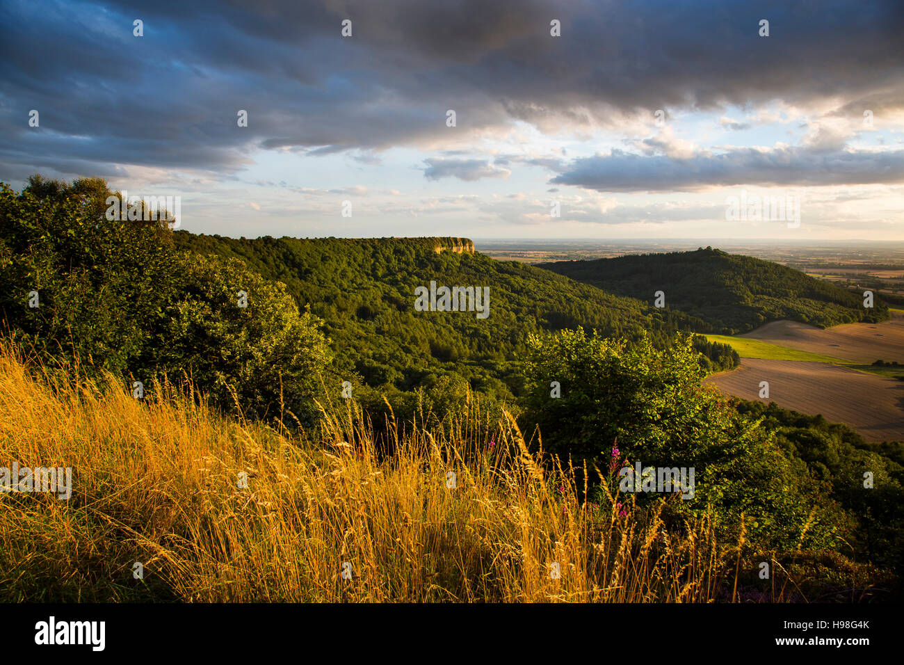 Roulston Scar and Hood Hill near Sutton Bank, North York Moors National ...
