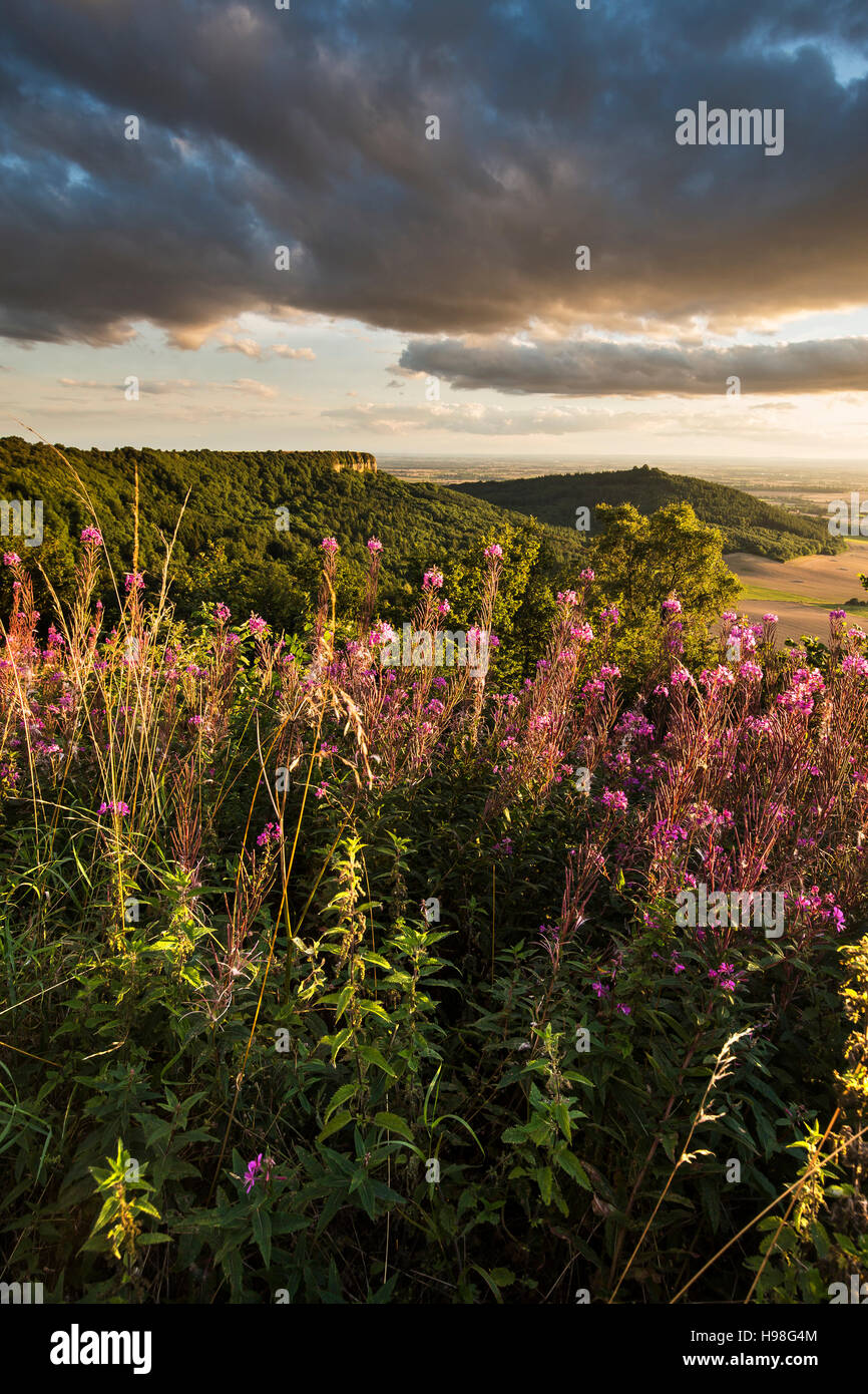 Roulston Scar and Hood Hill near Sutton Bank, North York Moors National ...