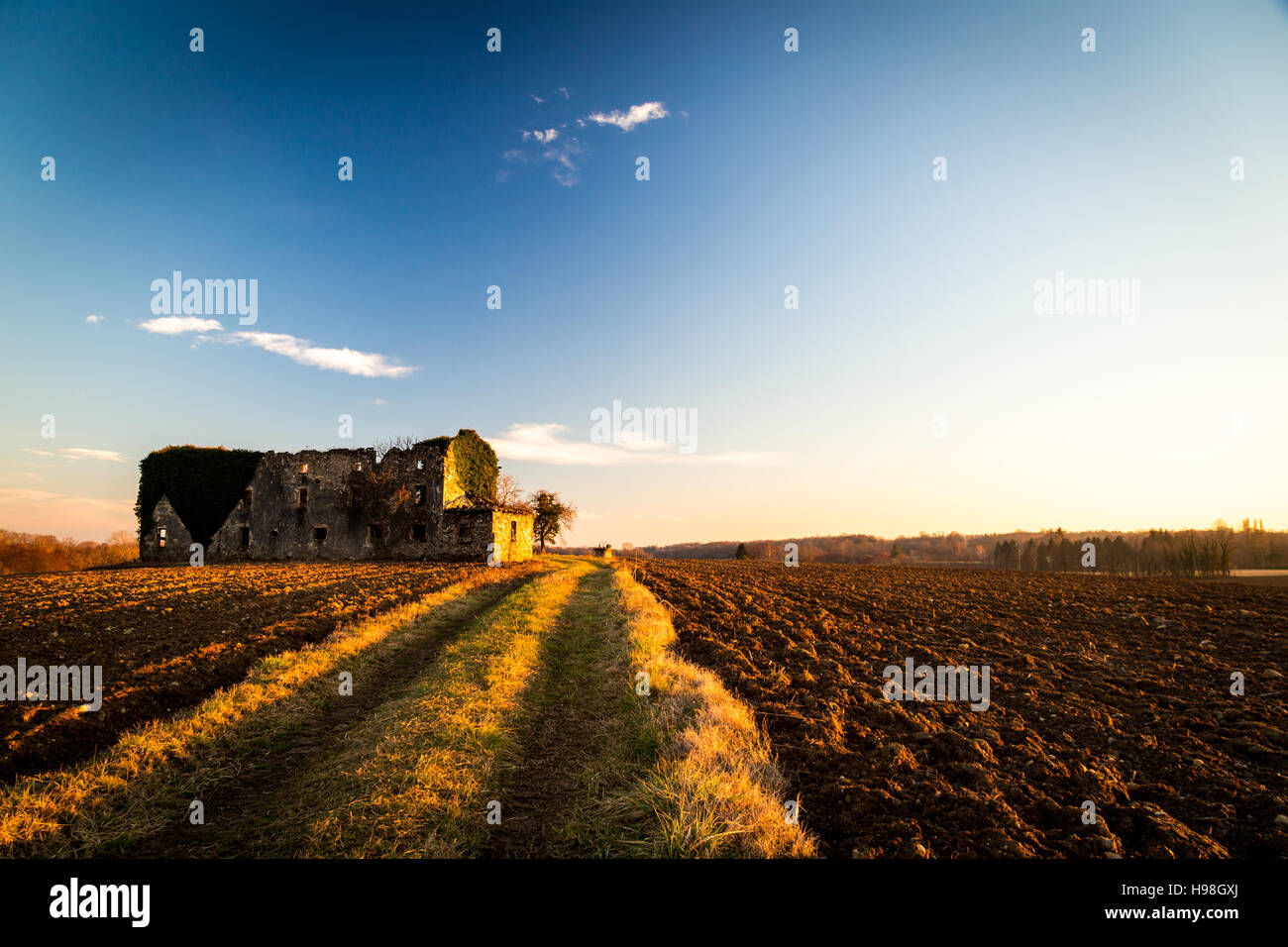 an abandoned and ruined farm in the fields of Italy Stock Photo - Alamy