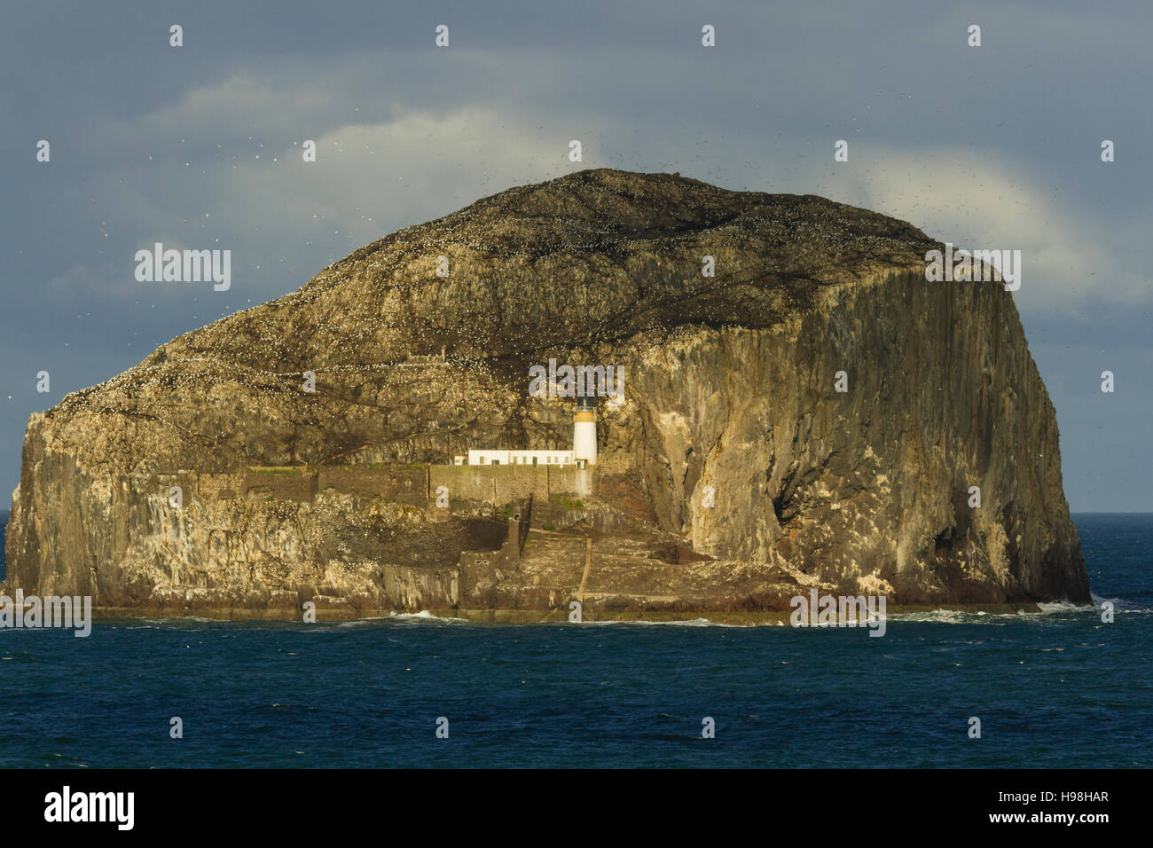 Over sea bass hi-res stock photography and images - Alamy