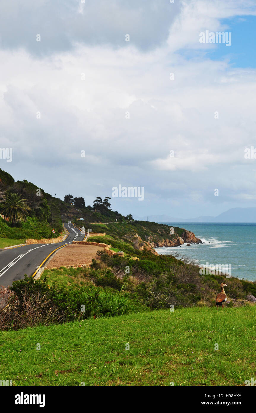 South Africa, driving on the road: view of the southafrican green ...