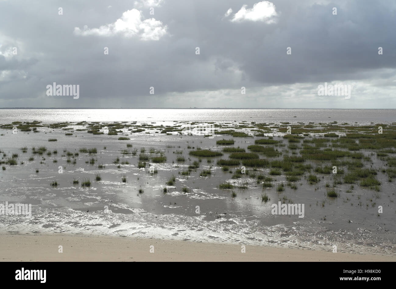 Wet sand beach salt-marsh and glistening Ribble Estuary seawater to ...