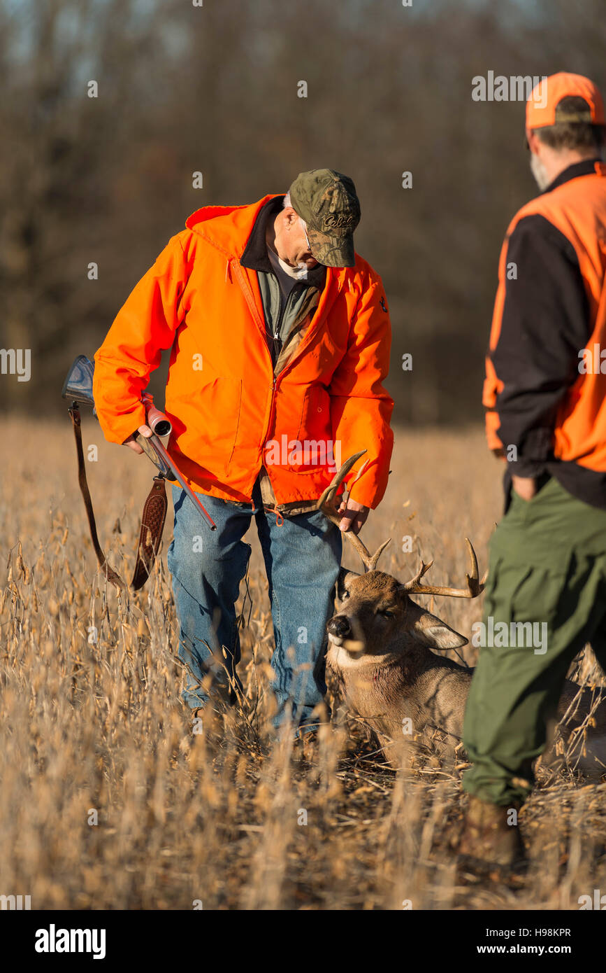 A pair of Deer Hunters dragging a large buck into a trailer Stock Photo ...