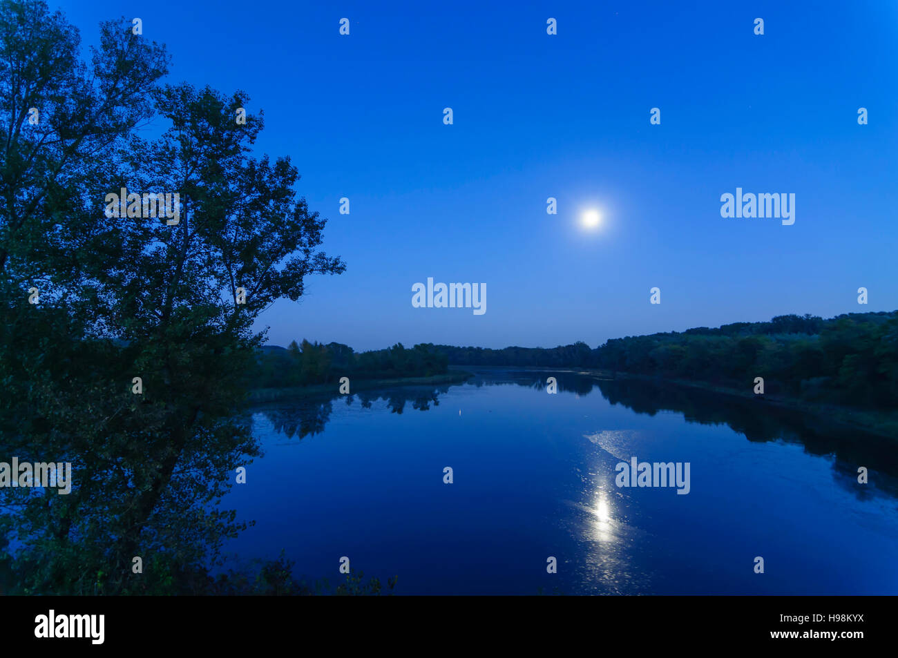 Wien, Vienna: oxbow lake Kühwörter Wasser in the Lobau in the national ...