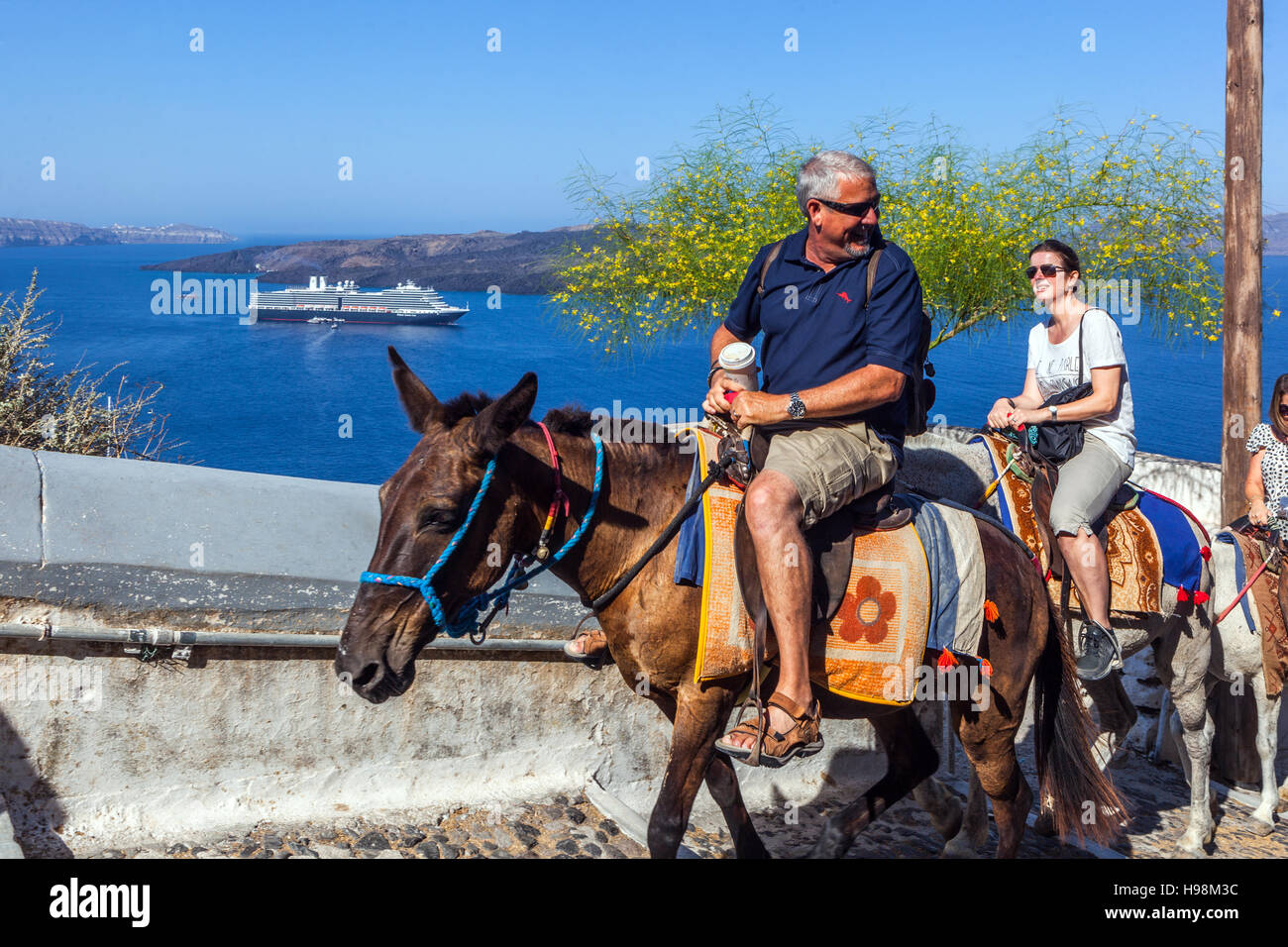 Santorini donkeys carrying tourists on the road linking the port to the ...