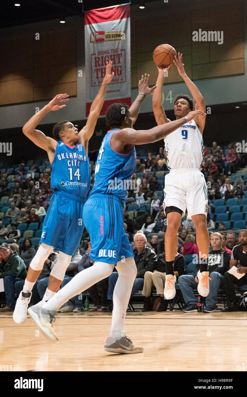 Reno, Nevada, USA. 19th Nov, 2016. Reno Bighorn Guard MALACHI ...