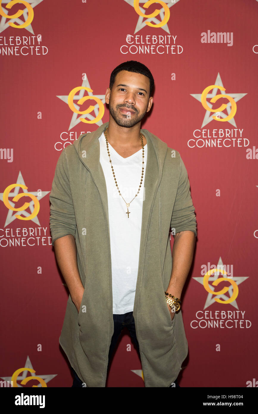 Alphacat hi-res stock photography and images - Alamy