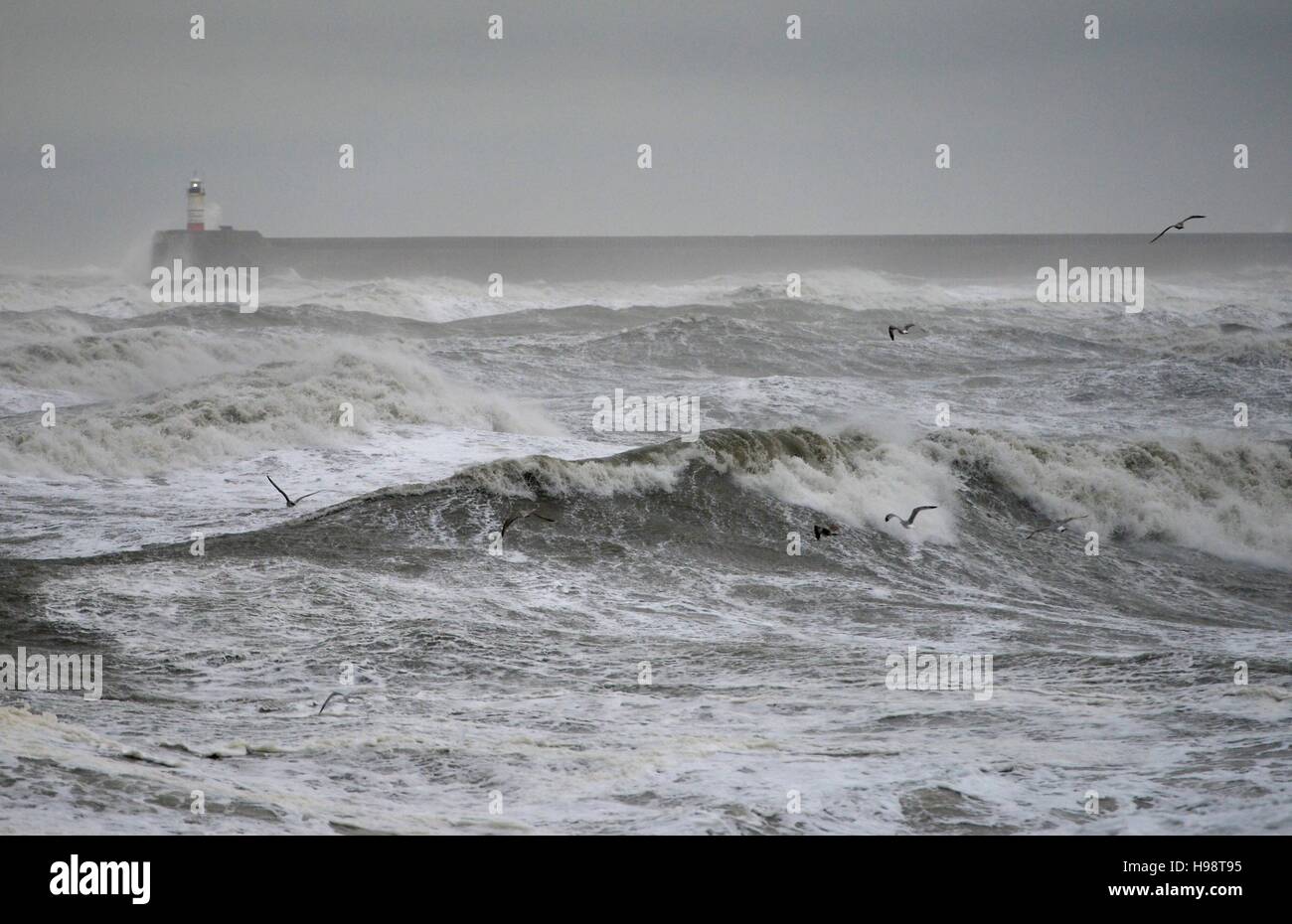 Newhaven U.K. 20th November 2016. Storm Angus hitting the South coast ...
