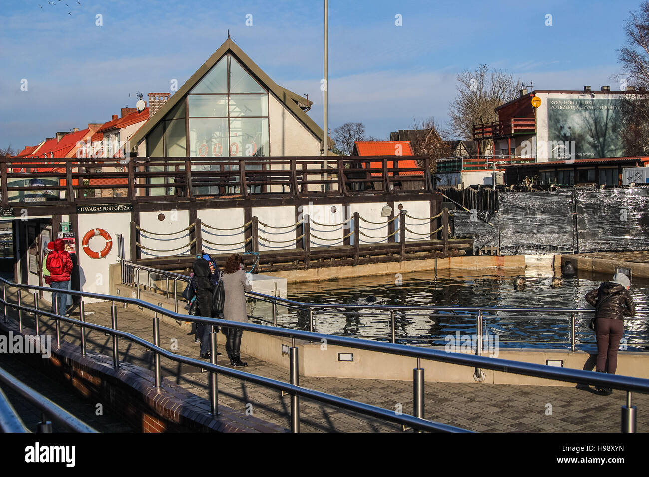 Hel, Poland, 20 November 2016 Feeding and medical examination of gray ...