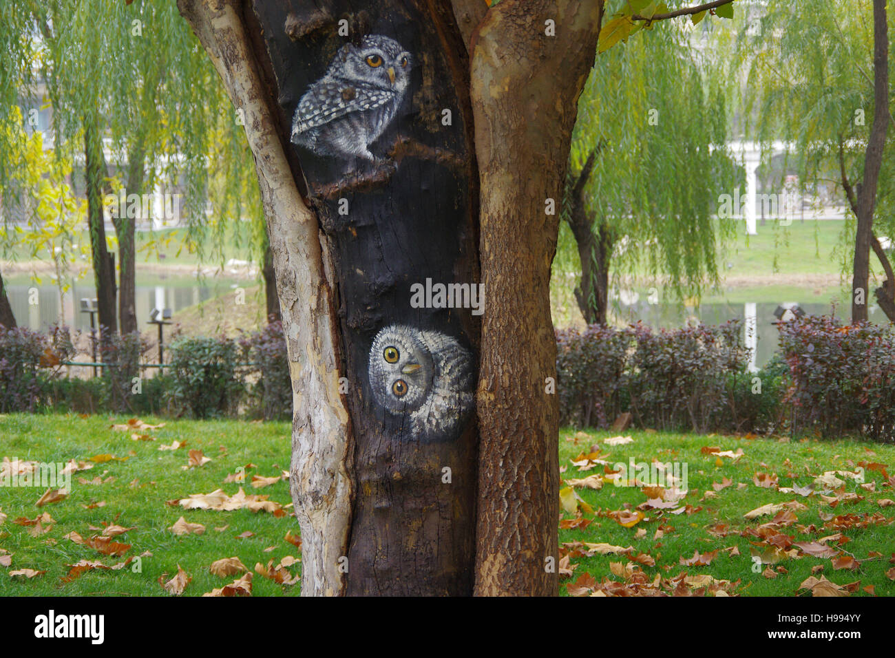 Shrek characters hi-res stock photography and images - Alamy