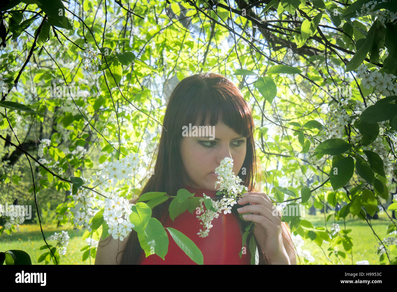 Beautiful Spring Girl with flowers. petals bloom girl happy Stock Photo ...