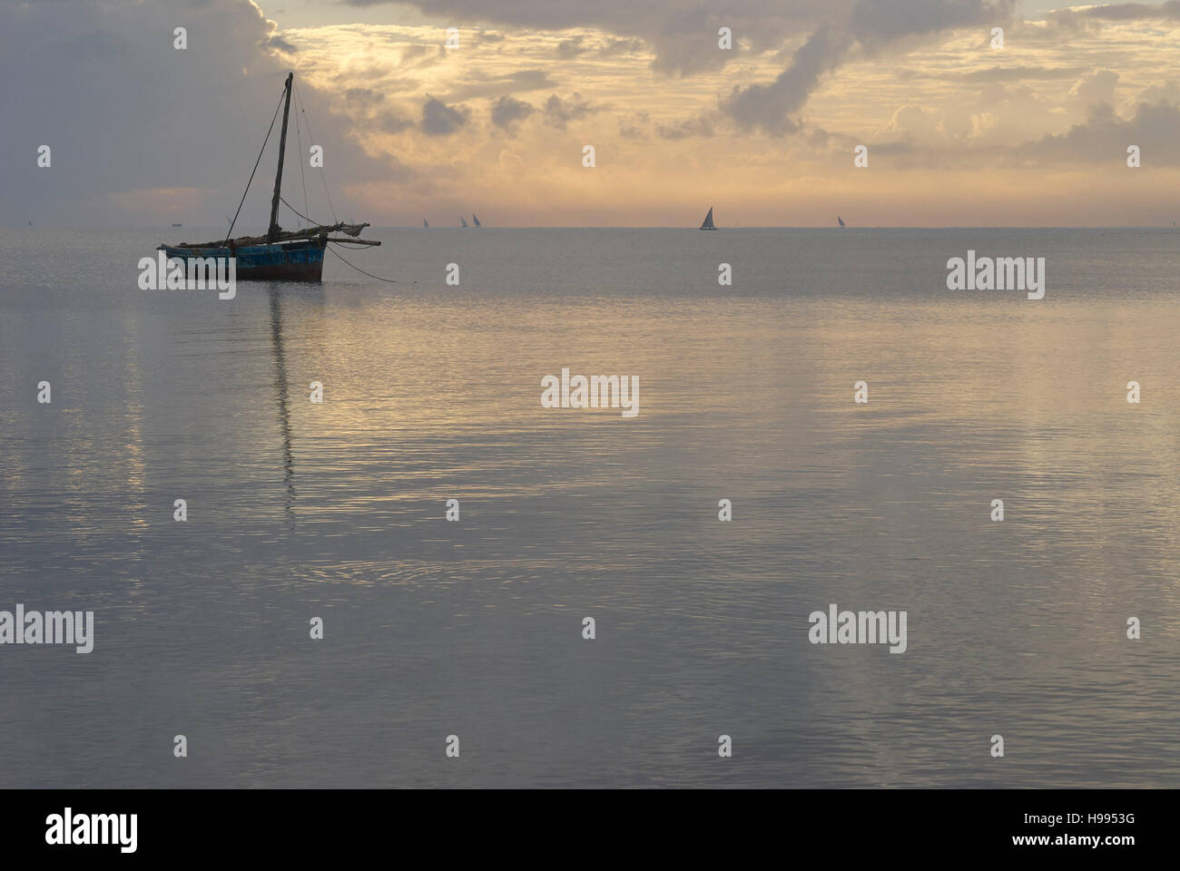 Traditional dhow sailing in the indian ocean hi-res stock photography ...