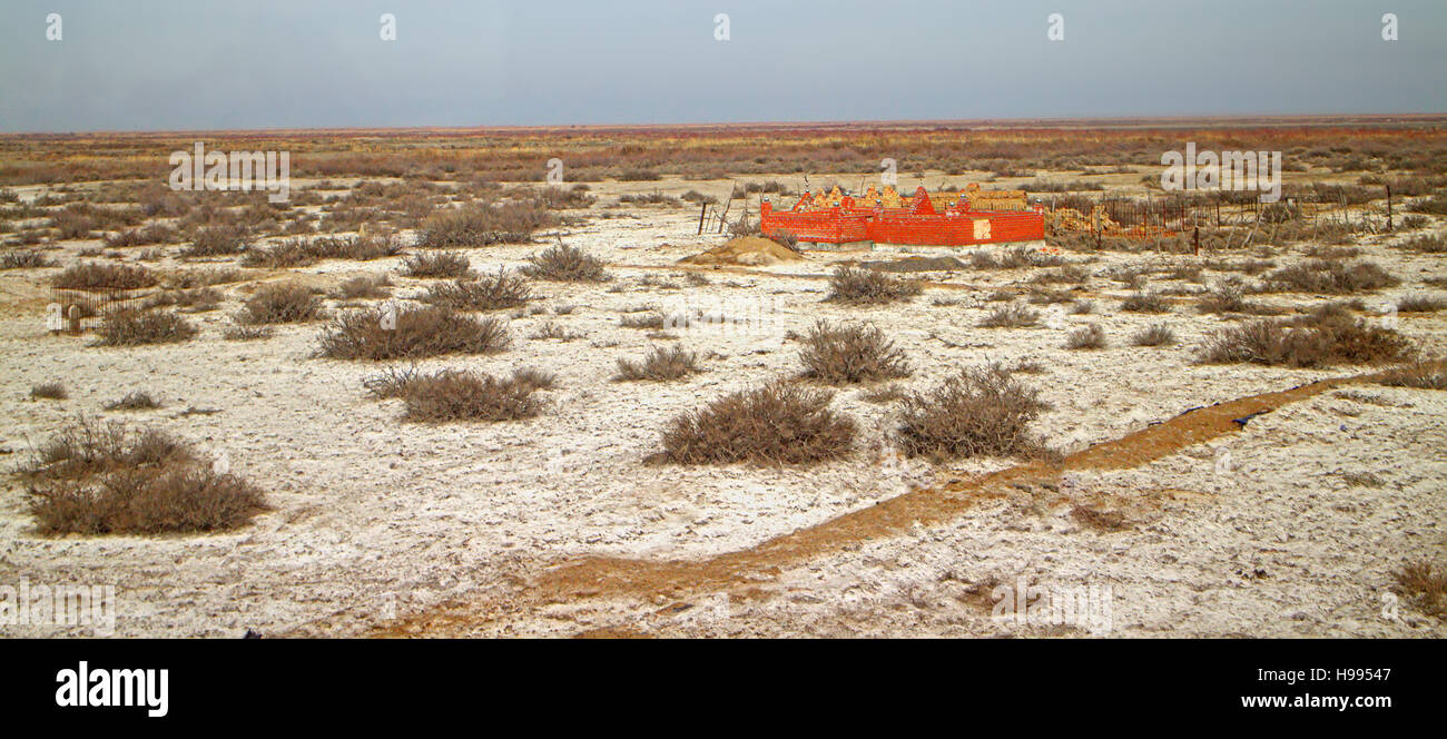 Clay desert covered with barilla (Salsola spp.) (saltwort desert ...