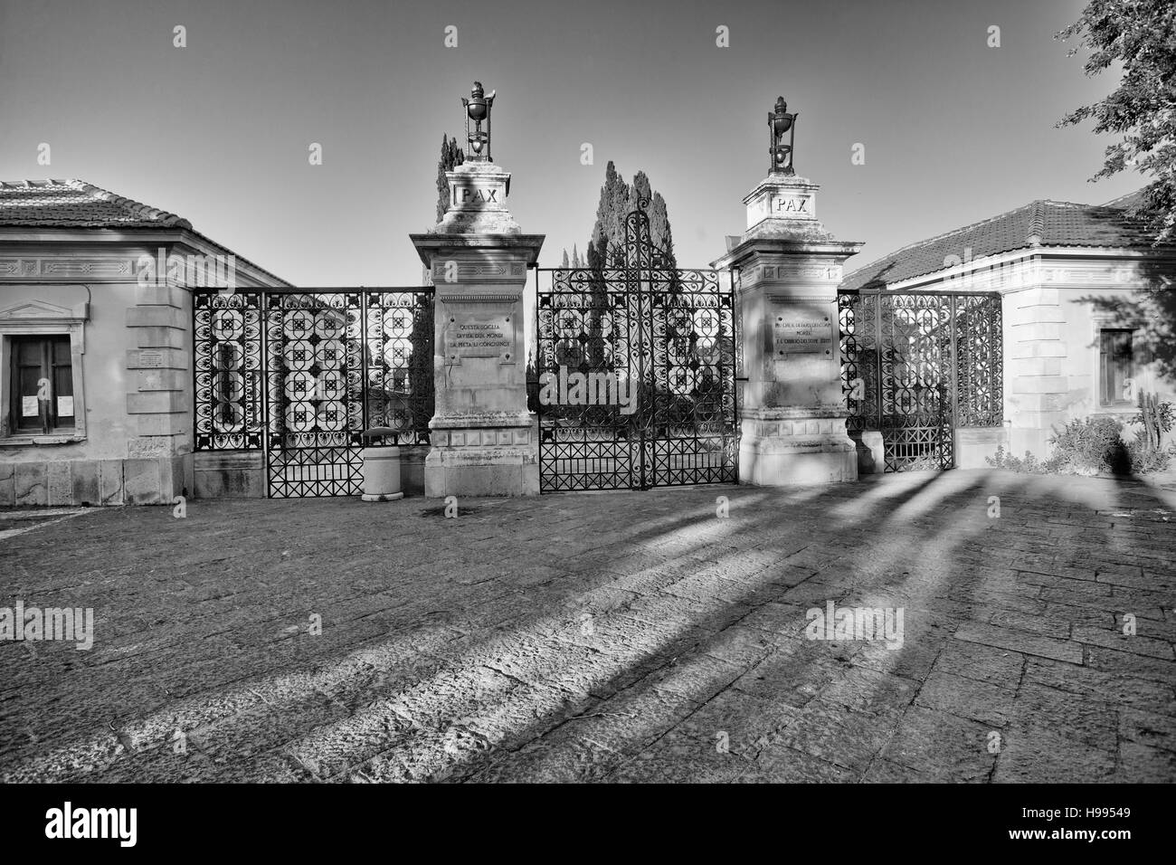 Capuchin black Black and White Stock Photos & Images - Alamy