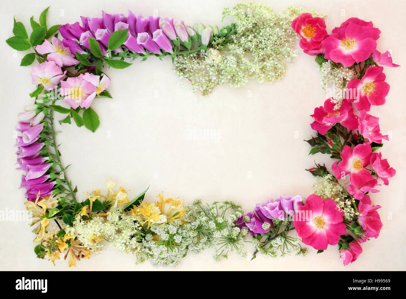 Wildflower border with english flowers used in natural alternative ...