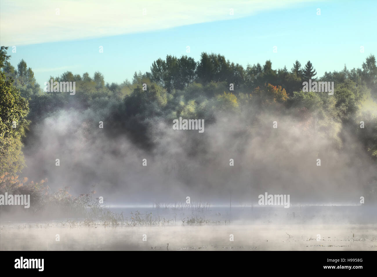 river mist in the summer morning Stock Photo - Alamy