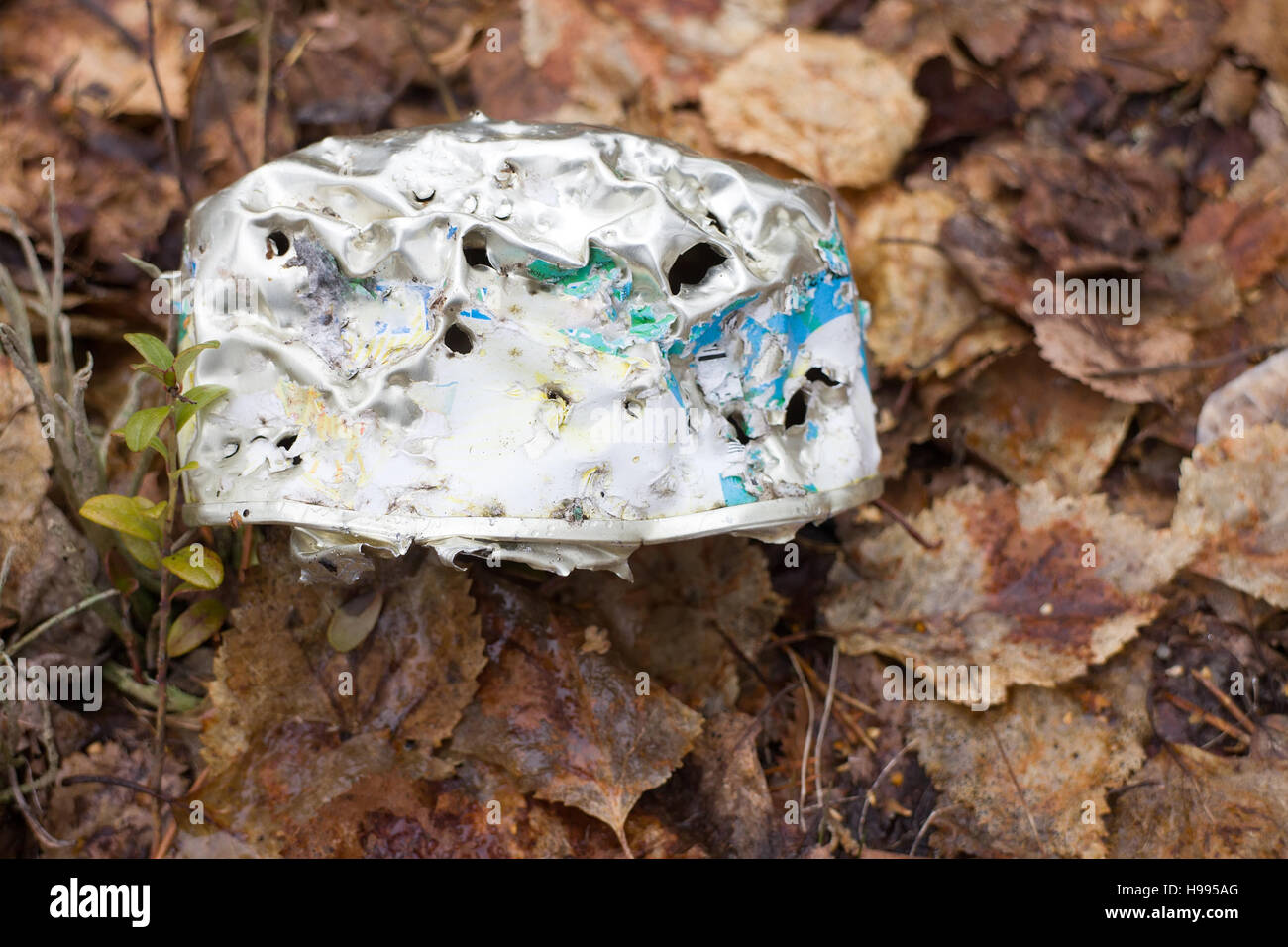 Bear attack man hi-res stock photography and images - Alamy