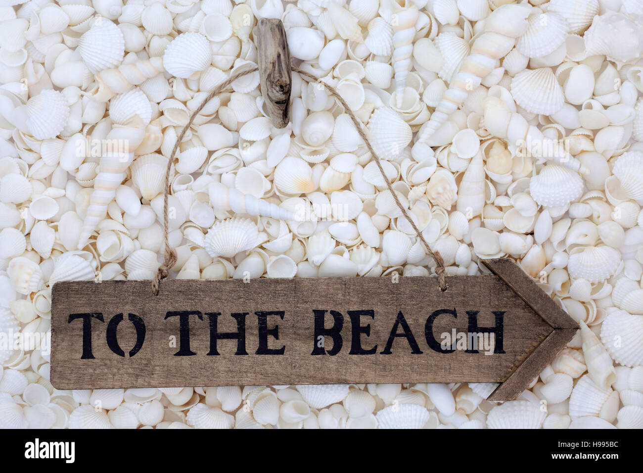 Rustic wooden to the beach sign on a variety of white shells Stock ...