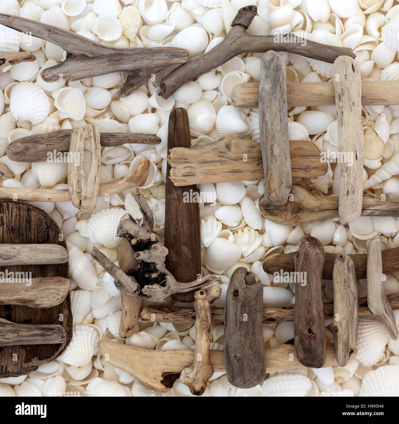 Abstract rustic driftwood and white seashell background Stock Photo - Alamy