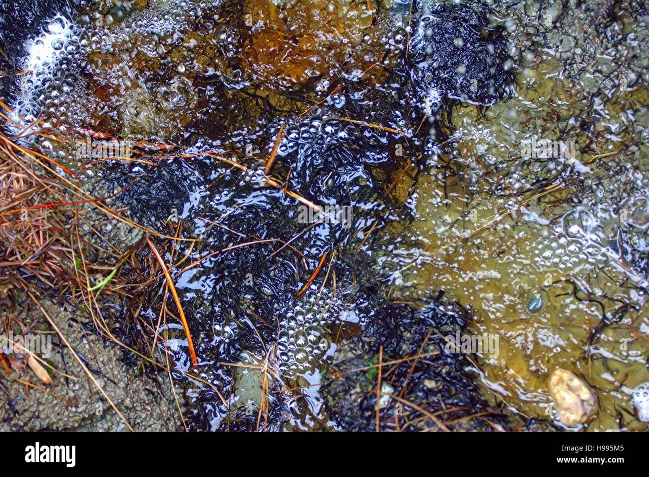 Water spring movement source hi-res stock photography and images - Alamy