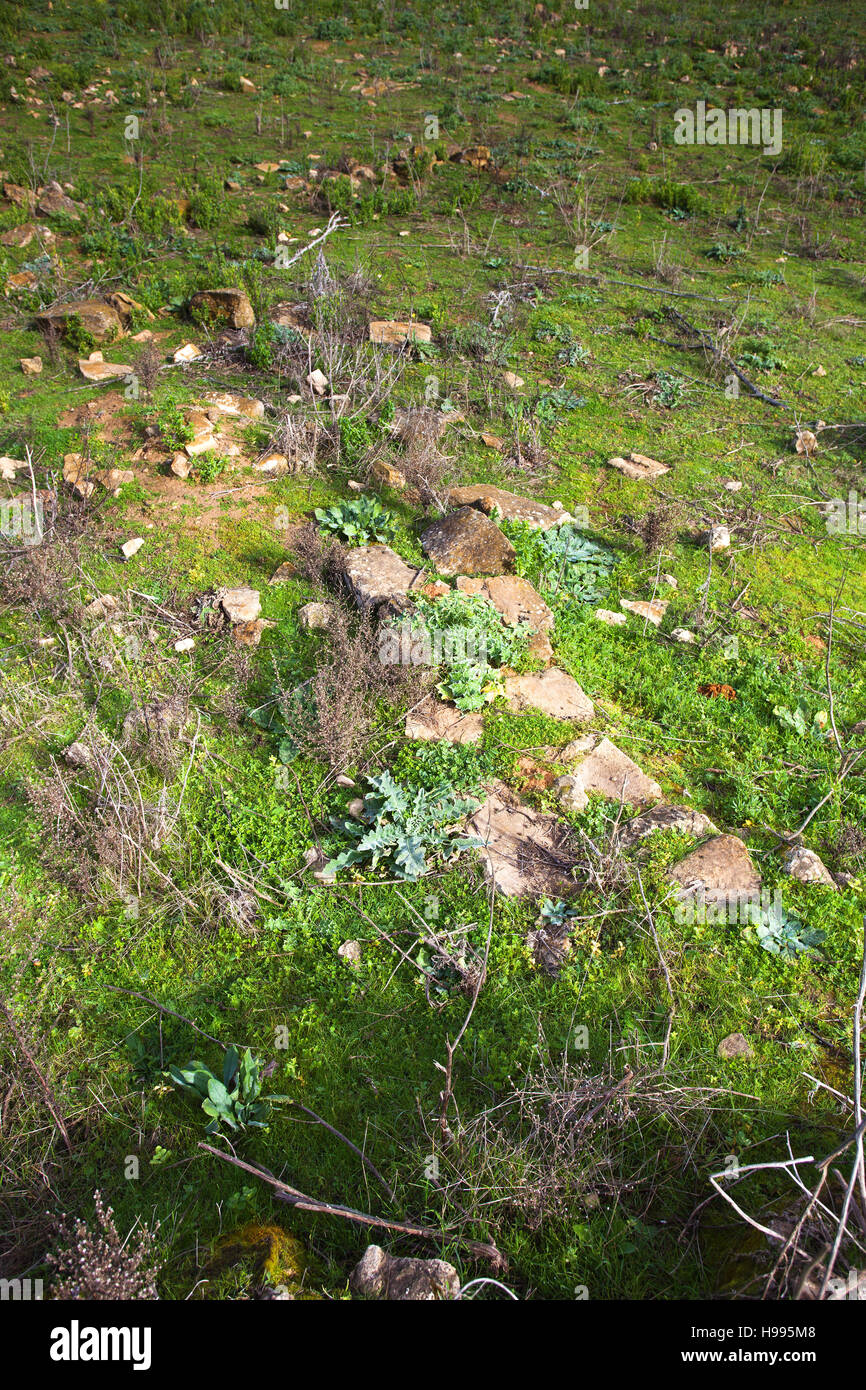 Scornavacche greek archaeological site. Chiaramonte Gulfi, Ragusa ...