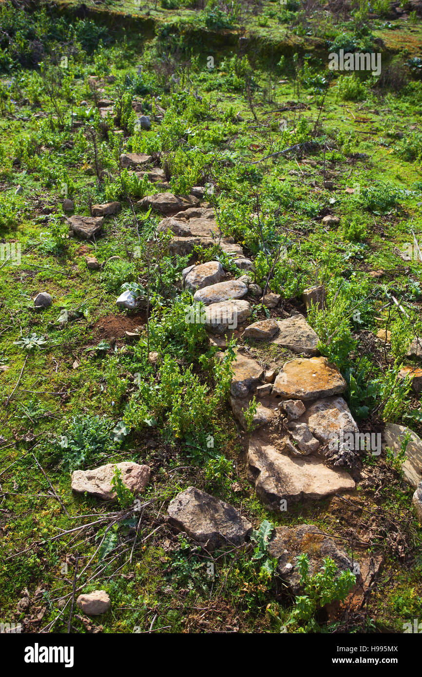 Scornavacche greek archaeological site. Chiaramonte Gulfi, Ragusa ...