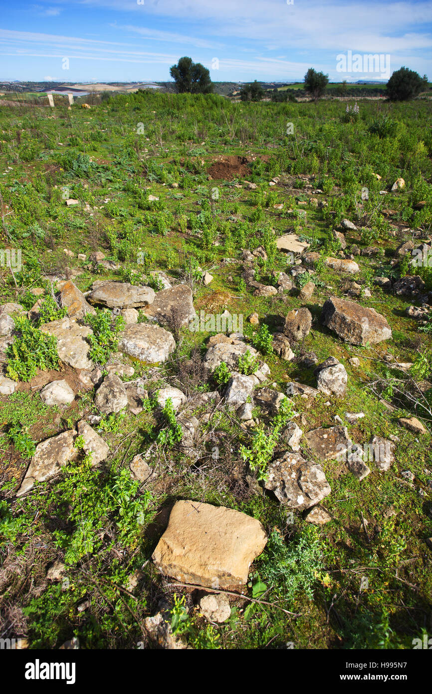 Scornavacche greek archaeological site. Chiaramonte Gulfi, Ragusa ...