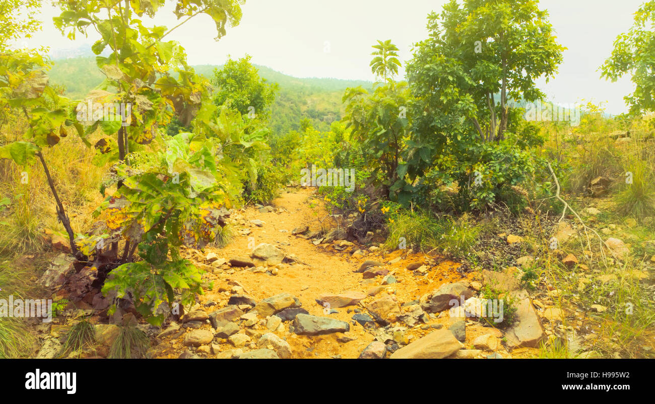 Crimean forests hi-res stock photography and images - Alamy