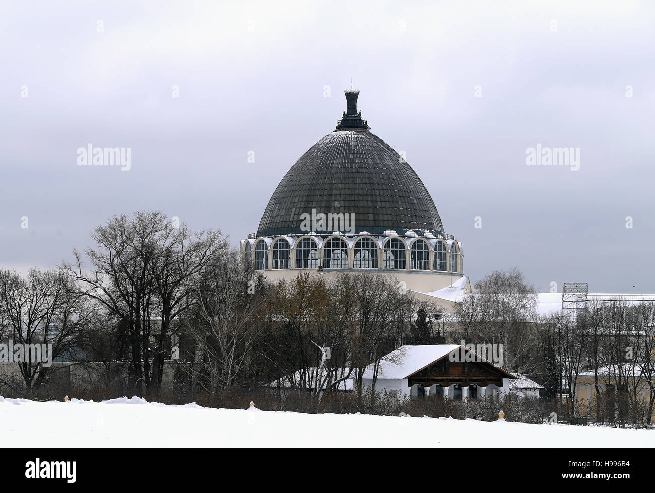 Beautiful pavilion cosmos in Moscow, photographed in close-up Stock ...
