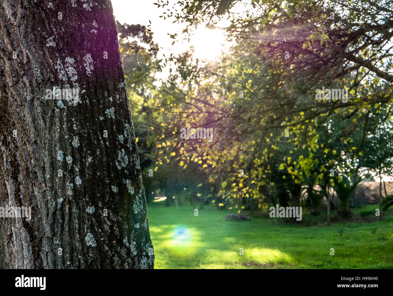 Valada portugal hi-res stock photography and images - Alamy
