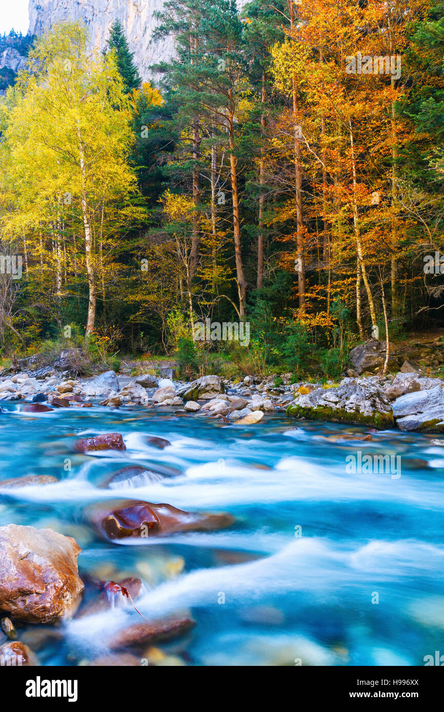 Mountain river and forest in autumn Stock Photo - Alamy