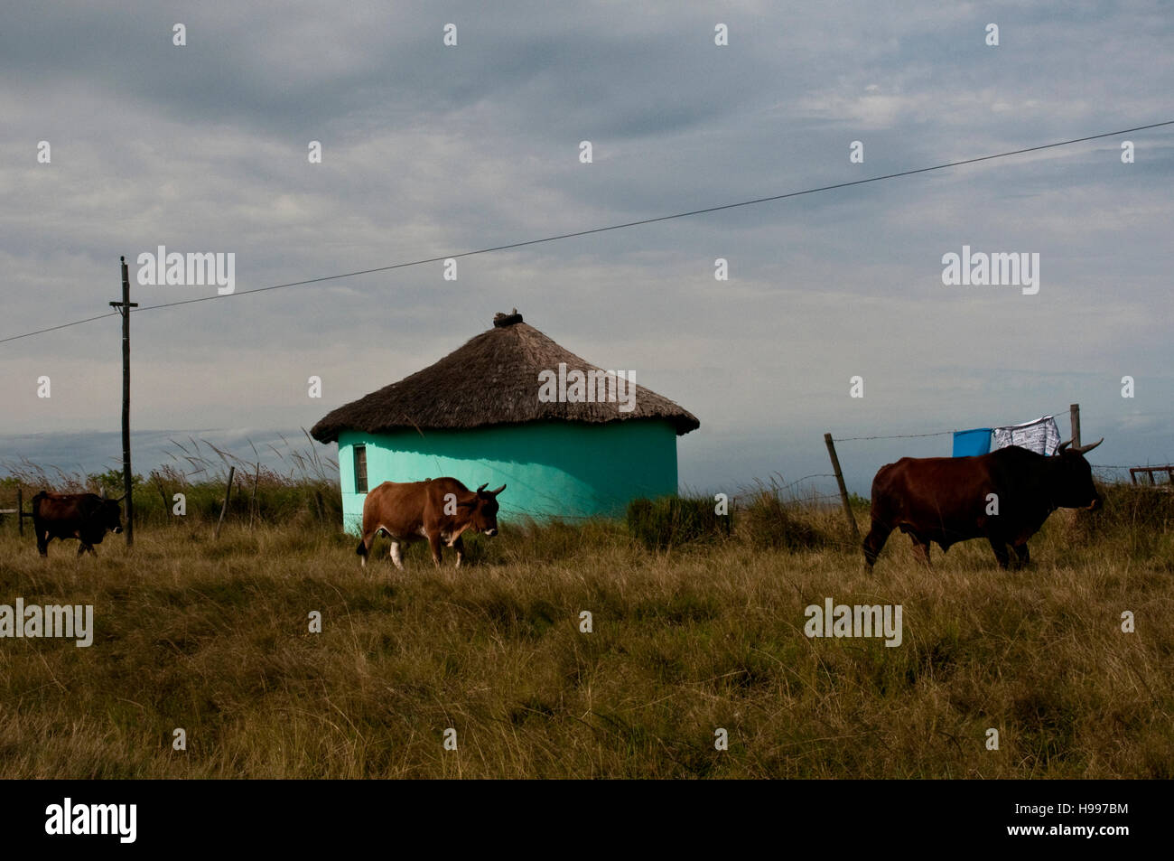 Former transkei hi-res stock photography and images - Alamy