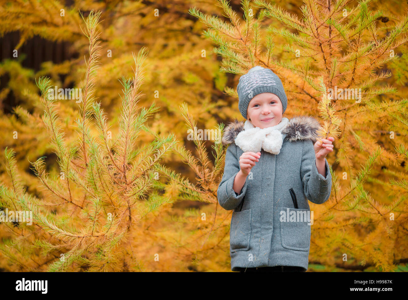 Portrait of beautiful girl background yellow fir-tree in fall Stock ...