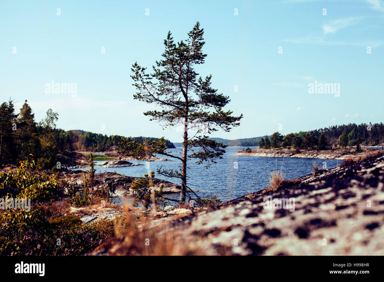 wild north nature landscape. lot of rocks on lake shore Stock Photo - Alamy