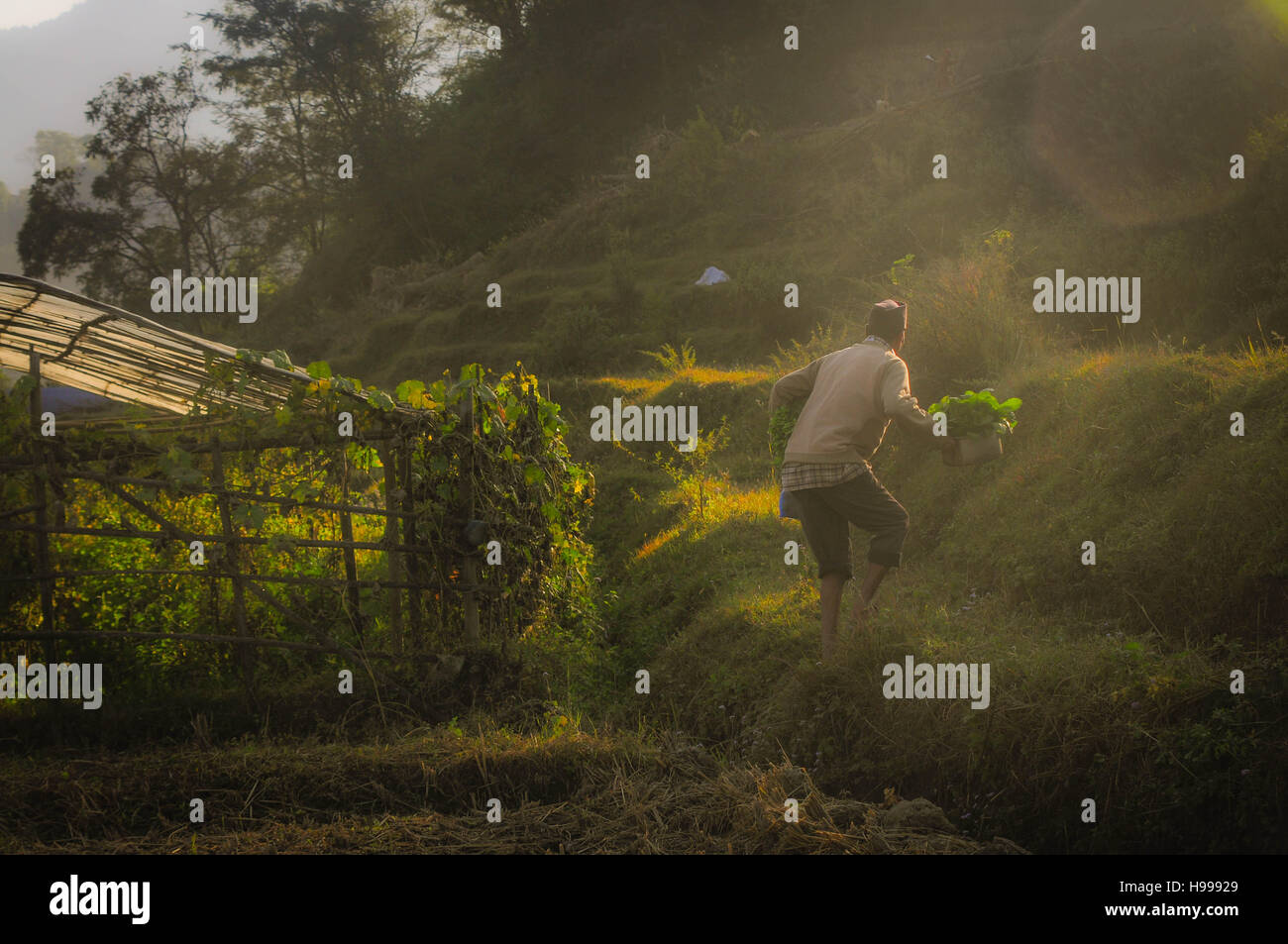 Nepal nature view Stock Photo - Alamy