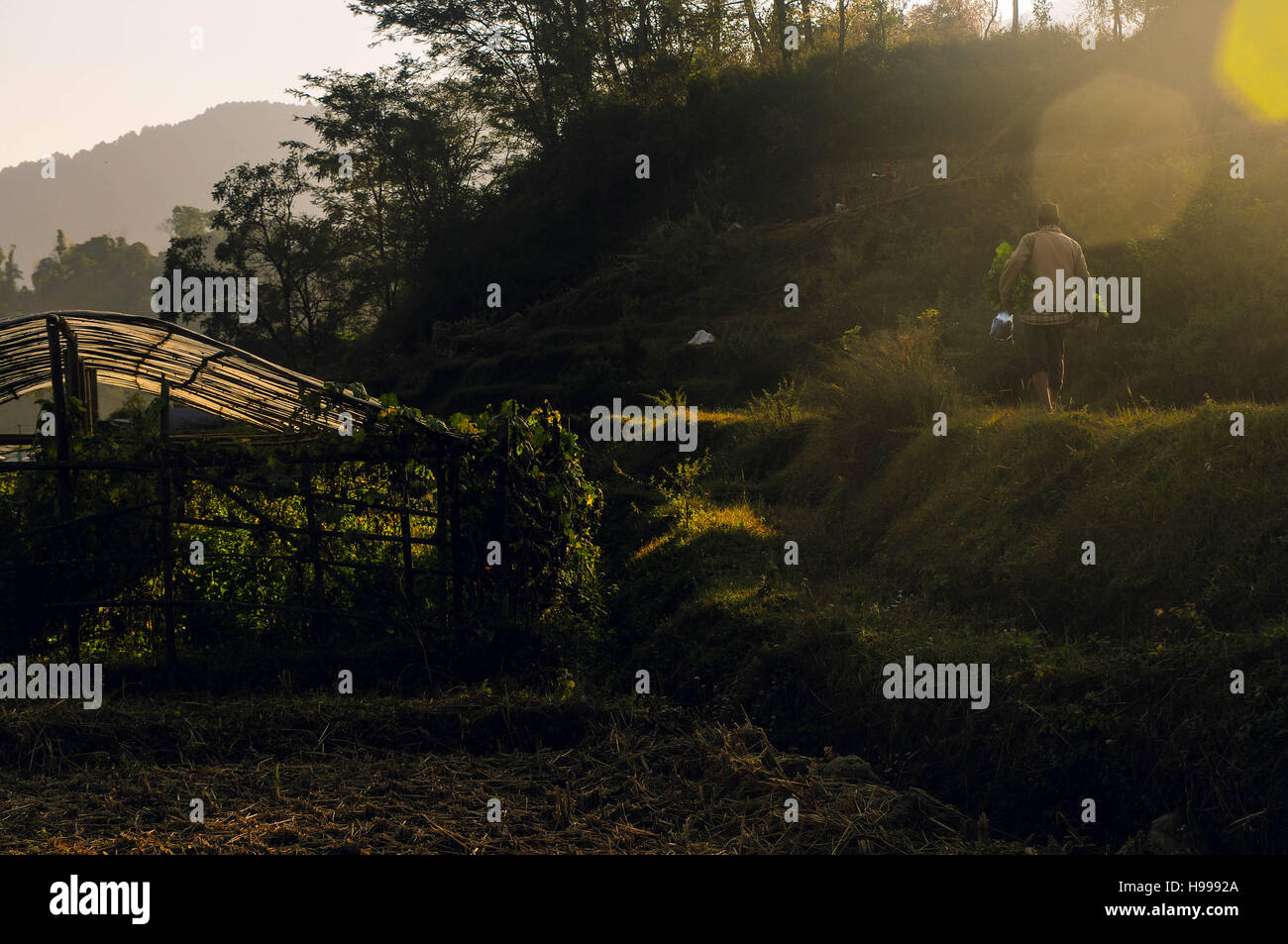 view Nepal nature Stock Photo - Alamy