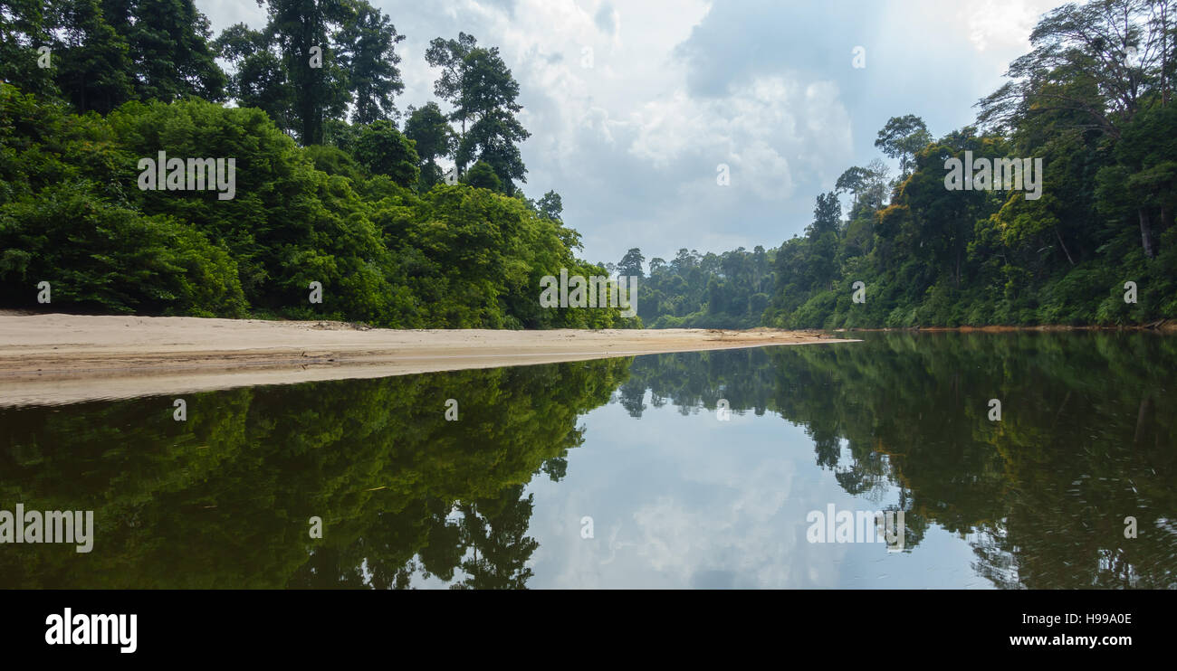 Travelling up river in Endau Rompin National Park, Malaysia Stock Photo ...