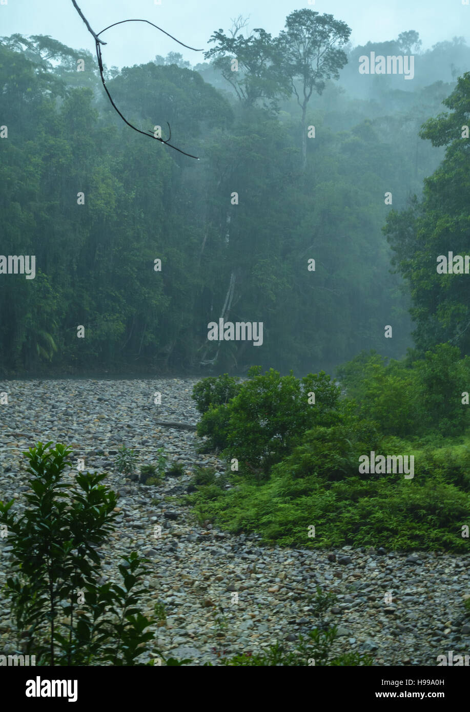 Rompin hi-res stock photography and images - Alamy