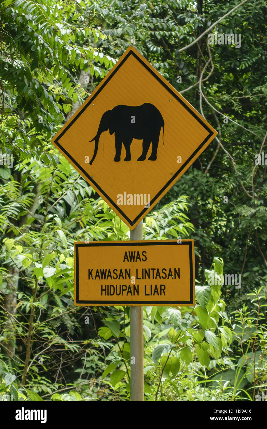 Elephants crossing road sign, Endau Rompin National Park, Malaysia ...