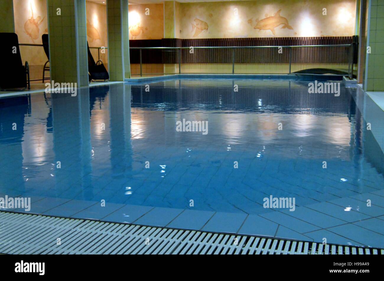 Indoor freshwater pool with dolphin designs and tortoise on the walls ...