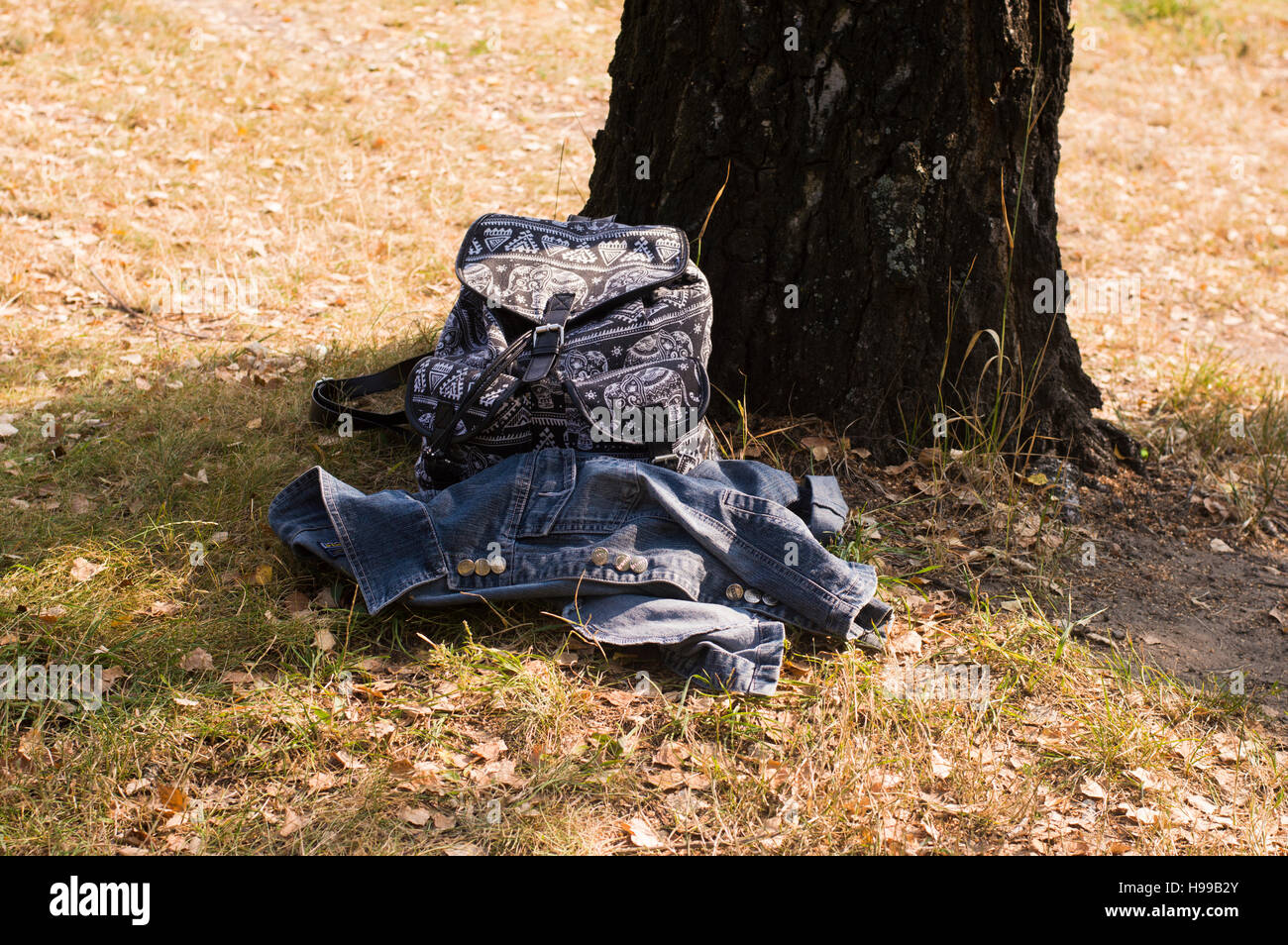 Knapsack Under Tree Stock Photo - Alamy