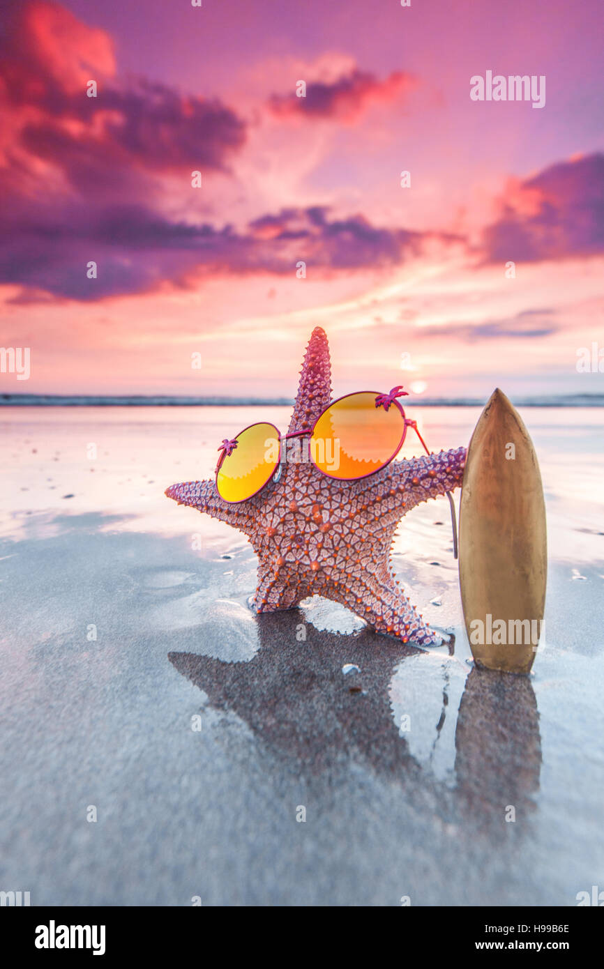 Starfish surfer on the beach and beautiful sunset on Bali Stock Photo ...