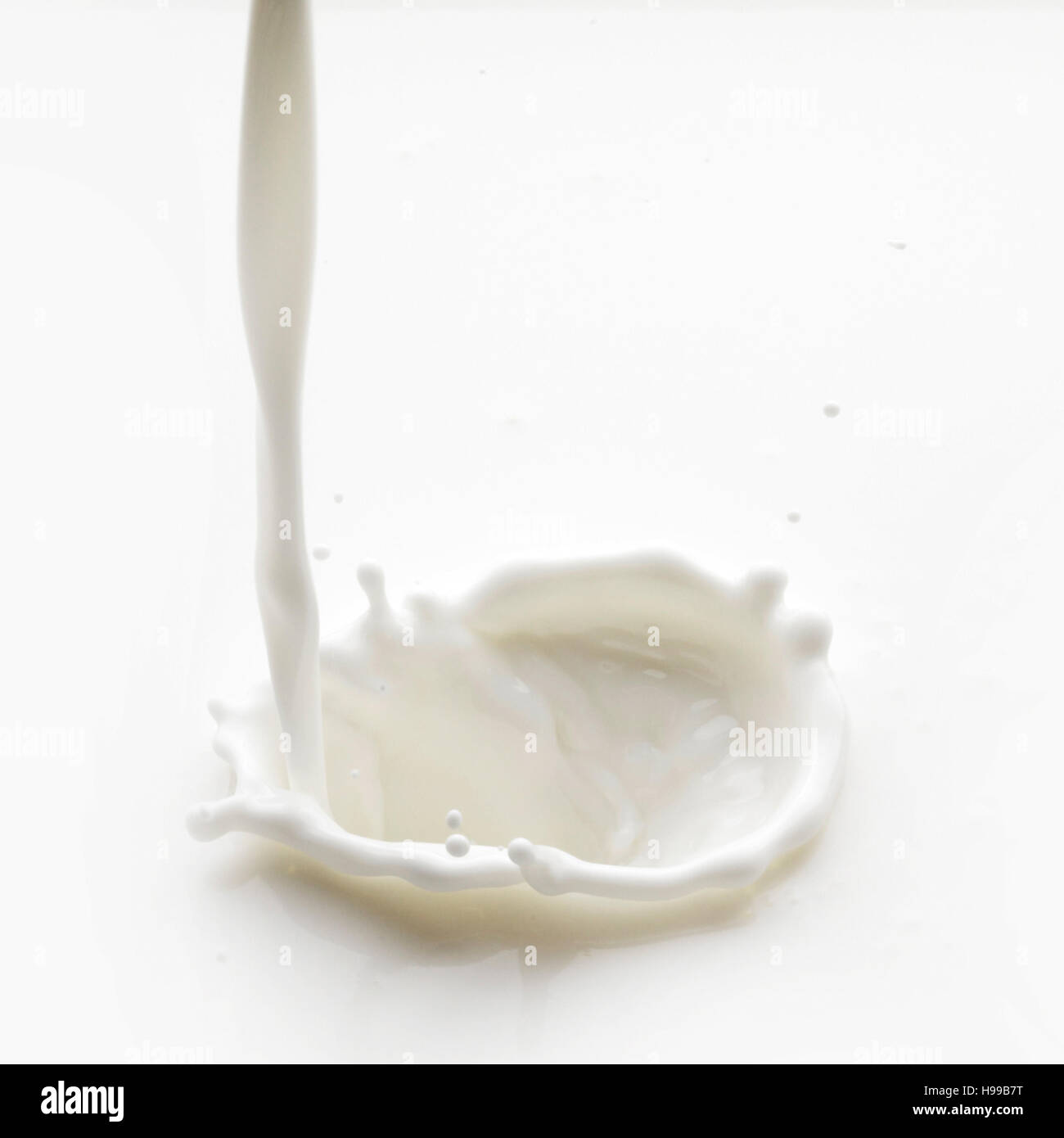 Pouring milk splash isolated on white background Stock Photo - Alamy