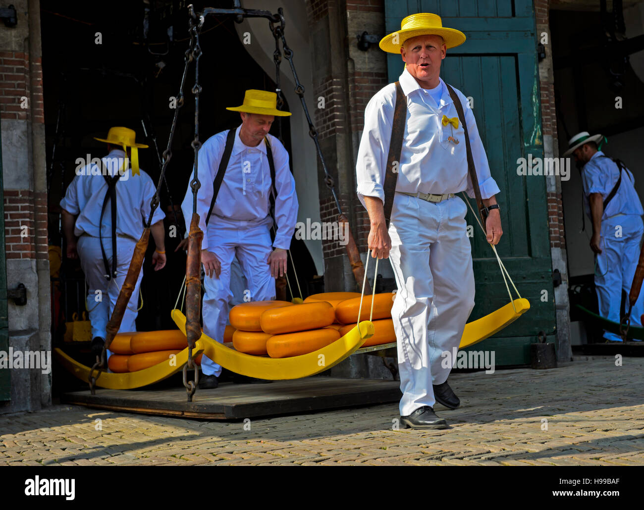 Guild cheese porters carry cheese truckles on a barrow from the balance ...