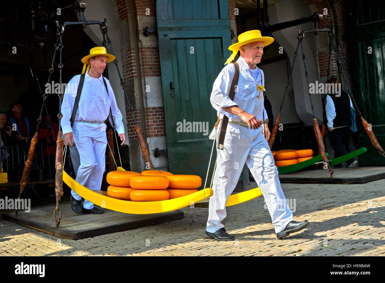 Guild cheese porters carry cheese truckles on a barrow from the scale ...