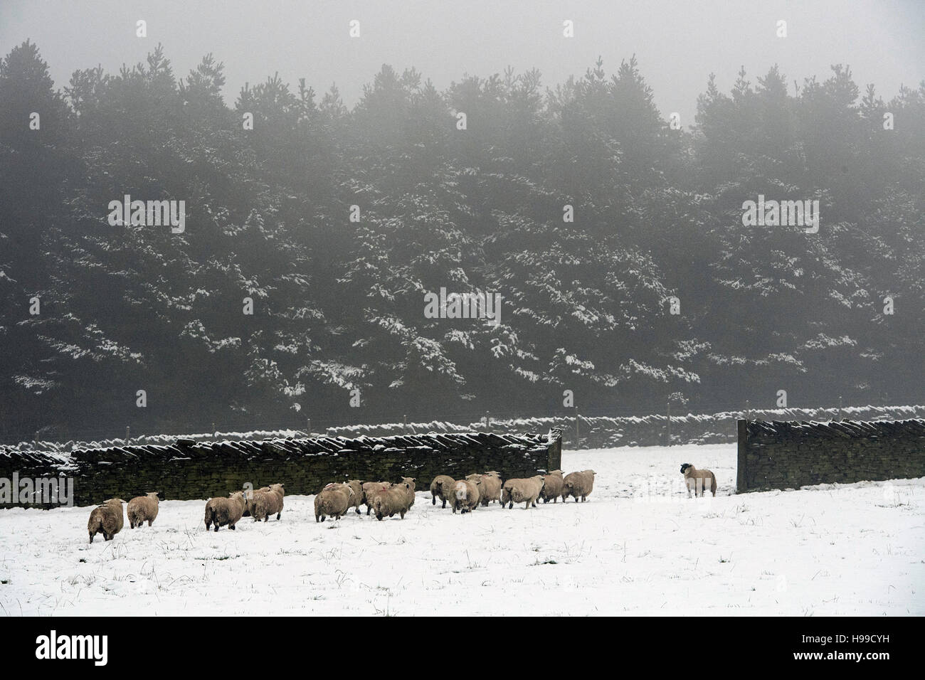 Village upperthong hi-res stock photography and images - Alamy