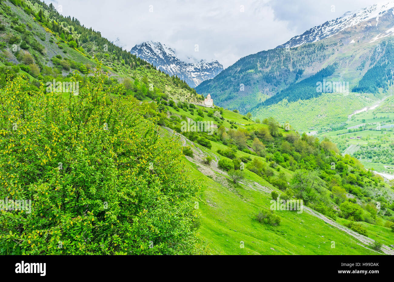 The steep mountain slope covered with lush greenery and hides the small ...
