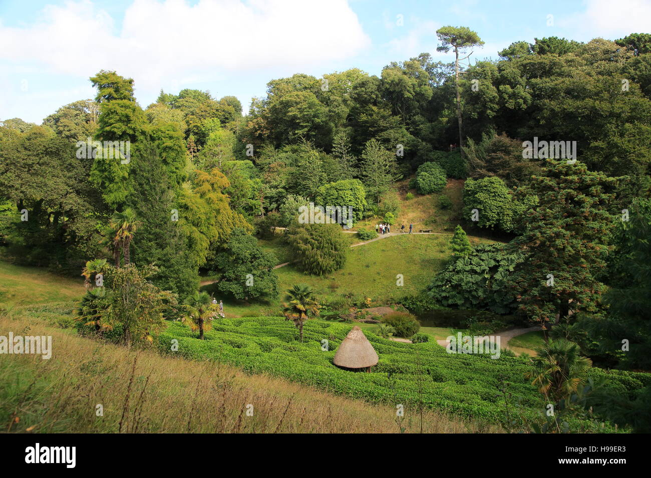 Glendurgan maze hi-res stock photography and images - Alamy