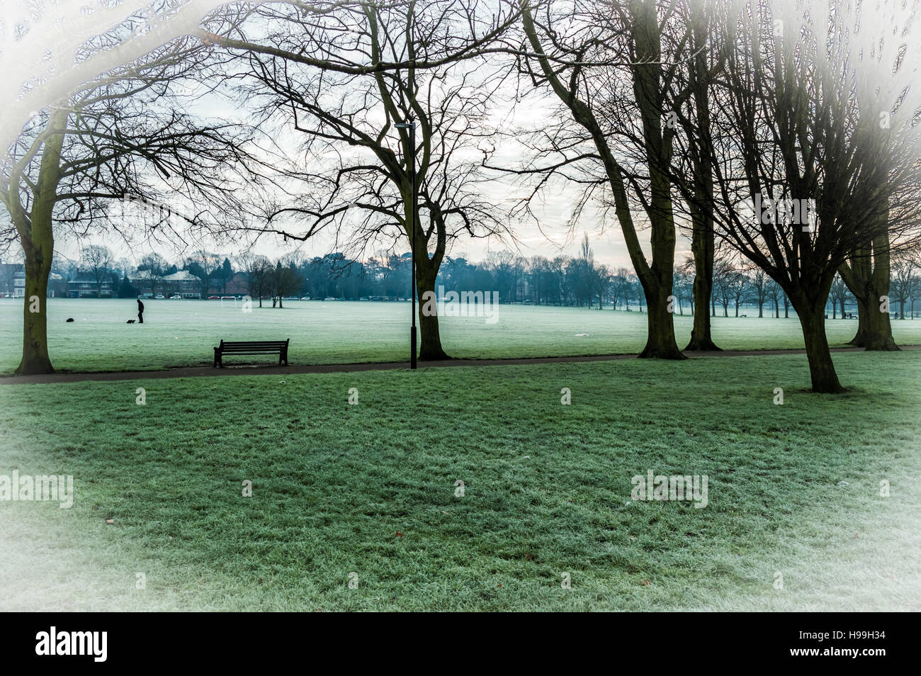 Victoria Park, Leicester, Leicestershire, in a Winter Frost Stock Photo ...